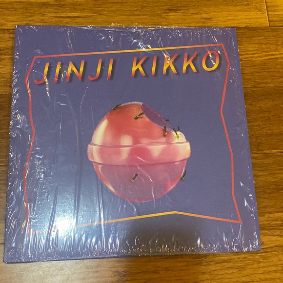 Media | Sunset Rollercoaster Jinji Kikko Vinyl | Poshmark